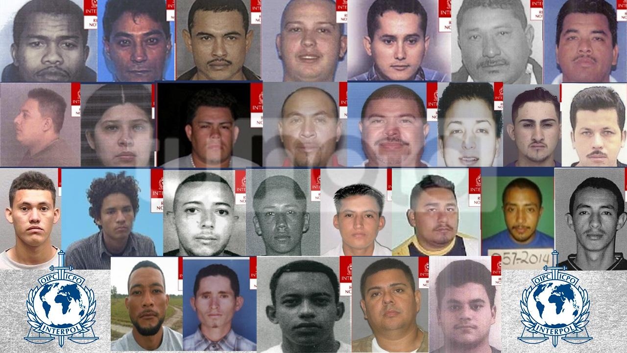 29 hondureños con alerta roja de Interpol: 17 buscados por asesinato