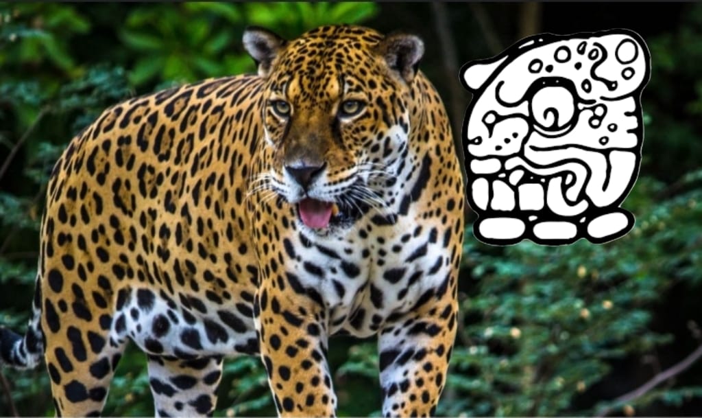 ¿Cómo representaban los mayas a sus animales preferidos?