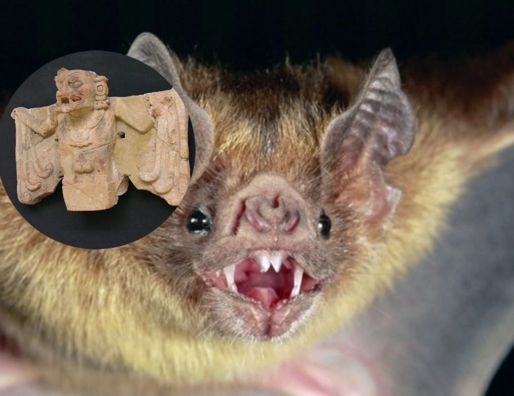 ¿Cómo representaban los mayas a sus animales preferidos?