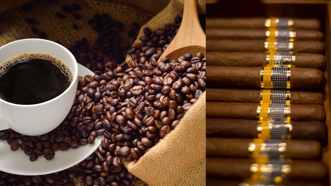 ¿Qué cultivos se producen en nuestros departamentos de Honduras?