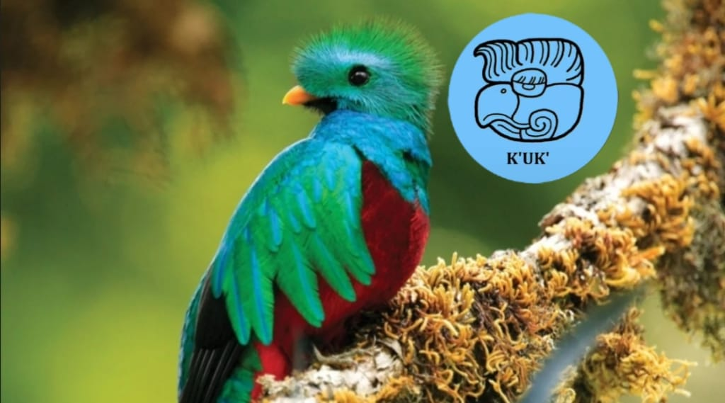 ¿Cómo representaban los mayas a sus animales preferidos?