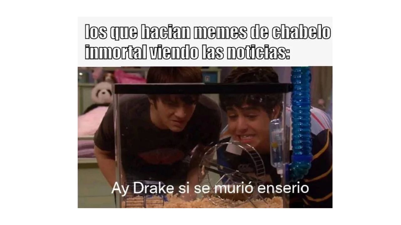 'Ay, Drake, si se murió en serio': origen de la frase, memes y más