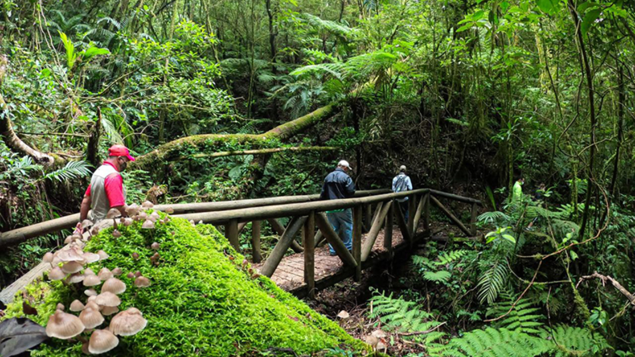 10 Parques nacionales de Honduras que debes conocer: bellezas naturales ...