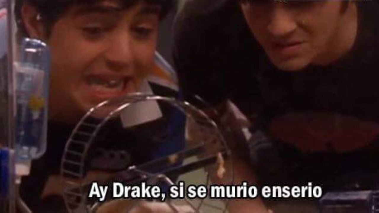 'Ay, Drake, si se murió en serio': origen de la frase, memes y más