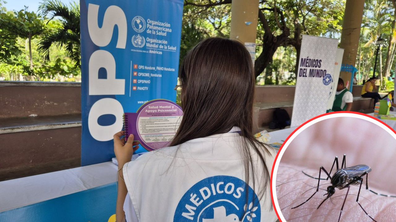 Honduras con récord de dengue en 2024, según OPS