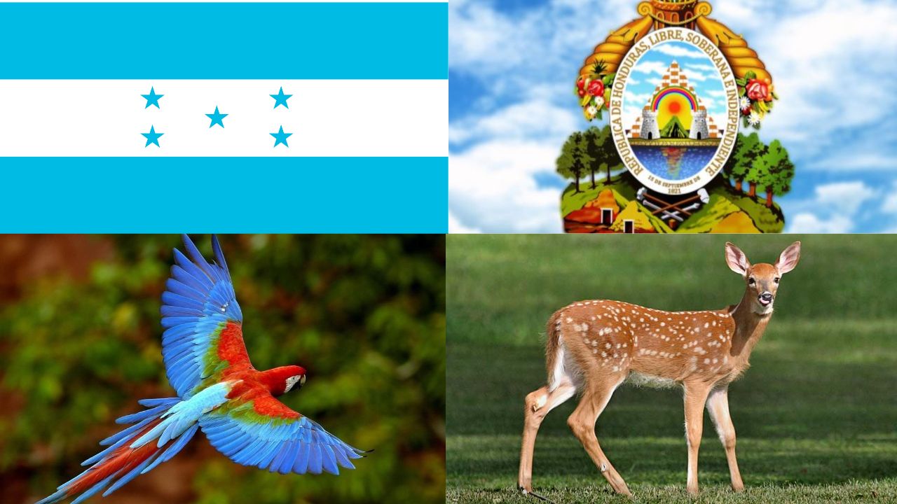 Símbolos Nacionales de Honduras: ¿Cuáles son, cómo están clasificados y ...