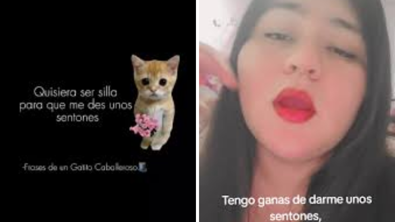 Sentones memes significado y origen del término
