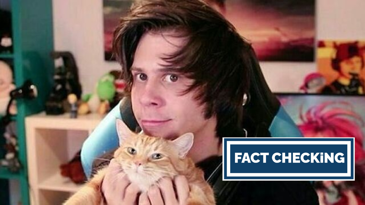 ¿Wilson Rubius murió?, qué se sabe del gato del streamer español