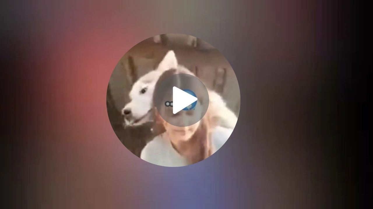 Poliwag Twitter video filtrado: enlace del video original de la niña y ...