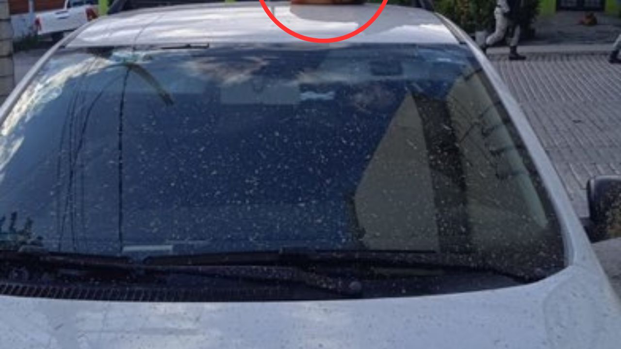 Alcalde de Chilpancingo fotos Twitter: Alejandro Arcos Catalán ...