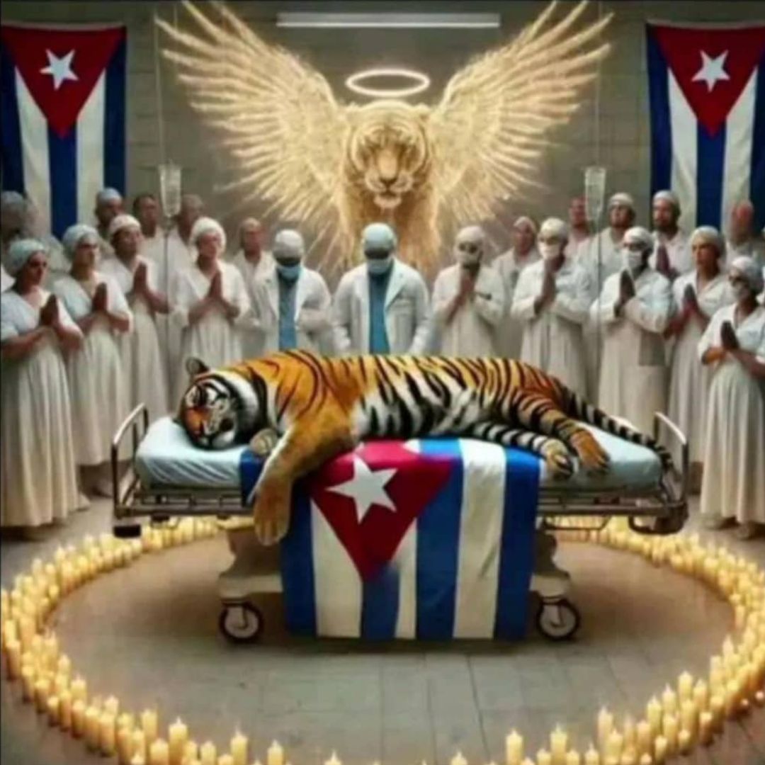 Fotos del Taiger: imágenes en alta calidad del cantante colombiano