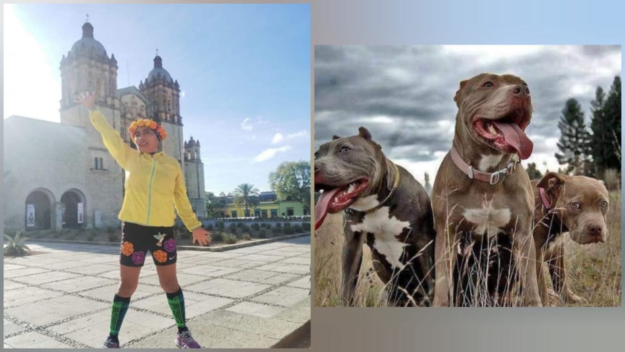 Atleta fallece tras ser atacada brutalmente por tres pitbulls