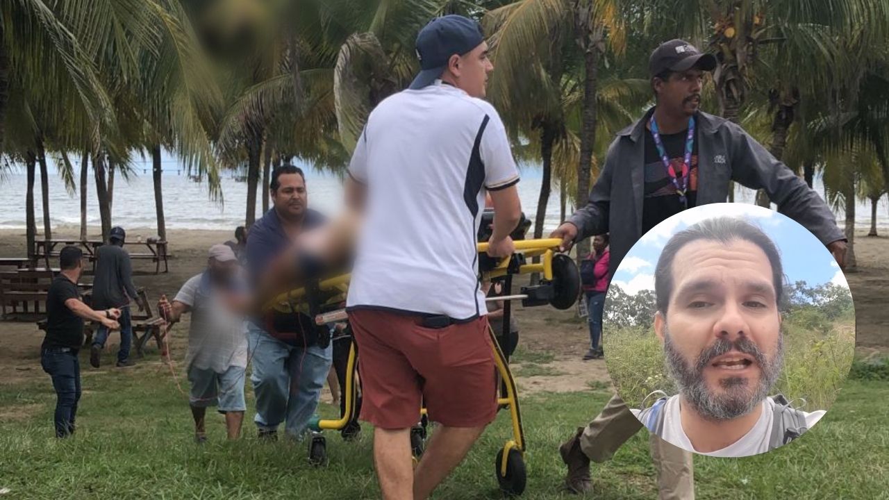 ¿Por qué los tiburones se acercan a la costa? Biólogo hondureño revela ...