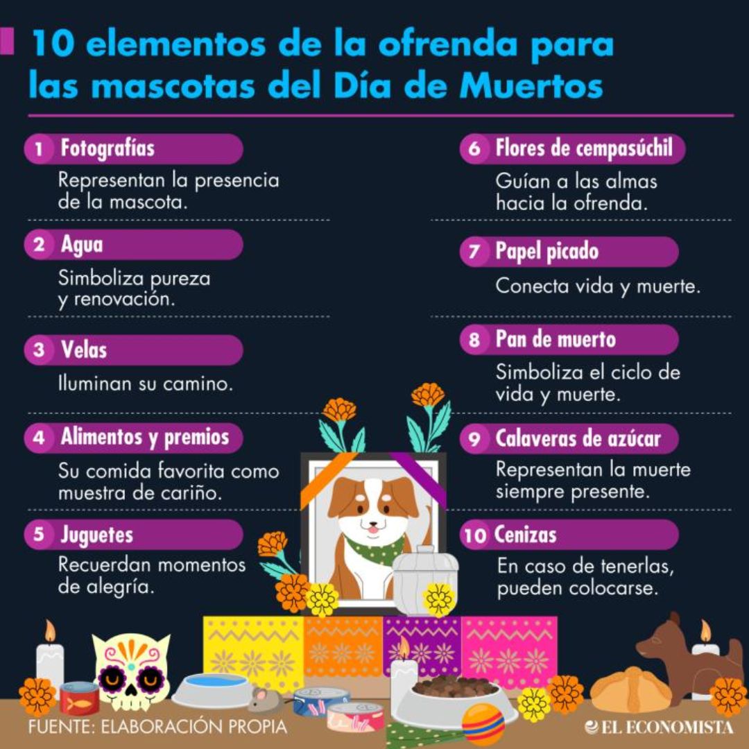 Altar para mascotas: ¿cómo hacer una ofrenda para el Día de Muertos?