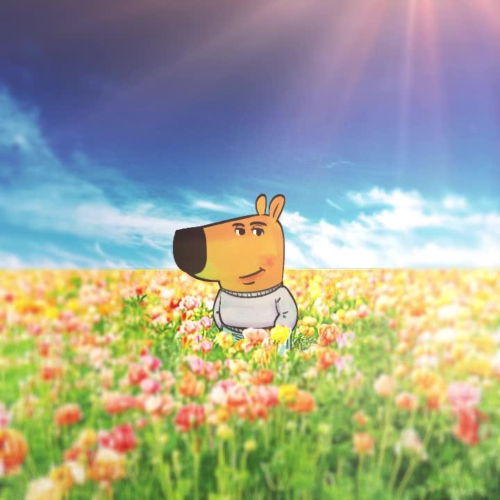 Meme Chill Guy wallpaper para descargar y compartir con amigos