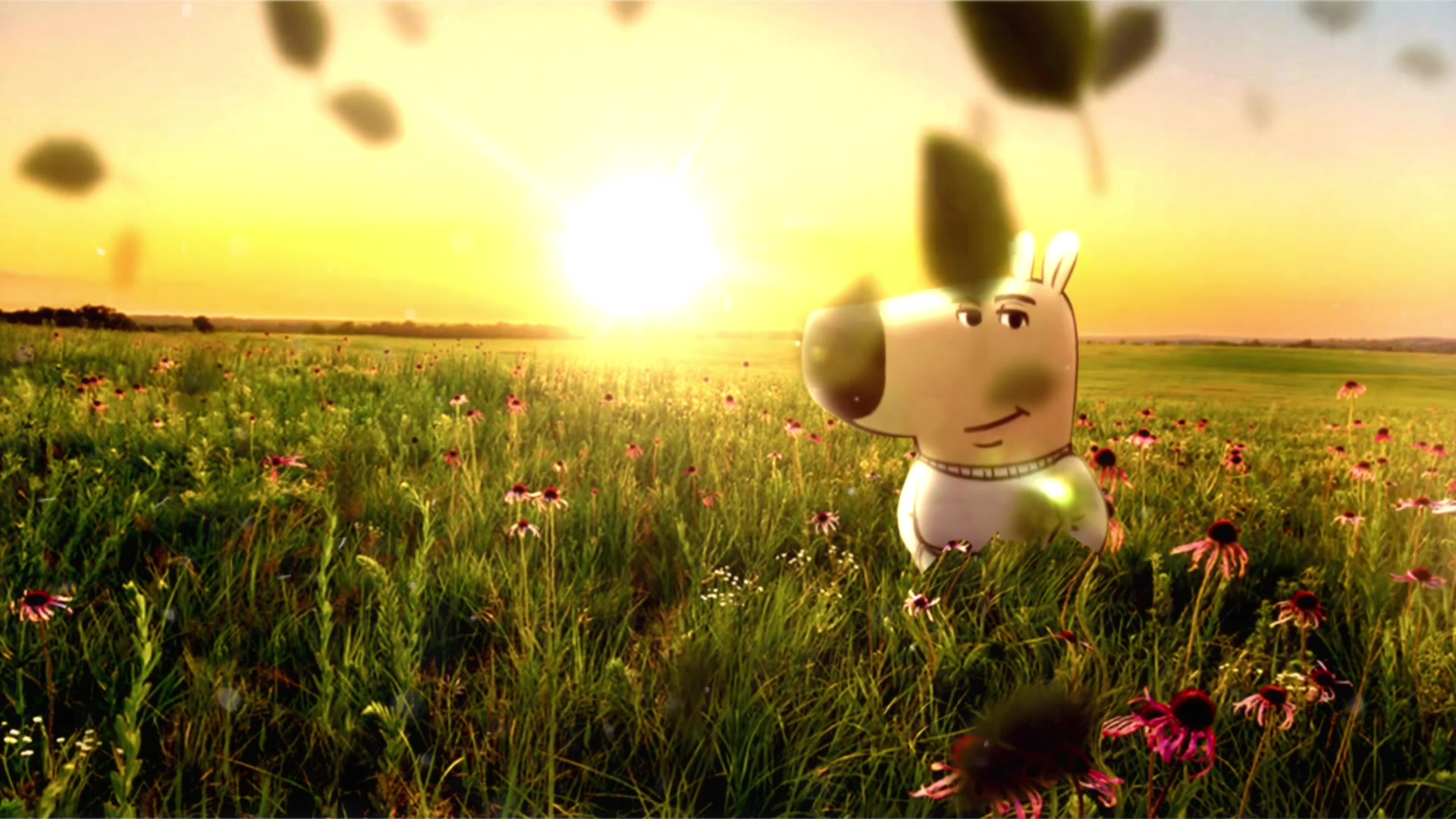 Meme Chill Guy wallpaper para descargar y compartir con amigos