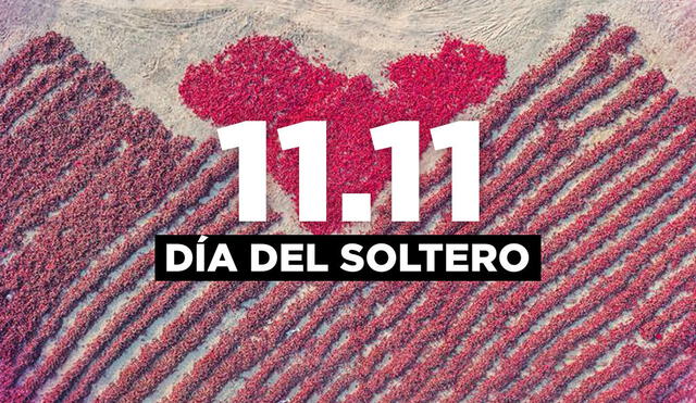 Imágenes del Día del Soltero para descargar, imprimir y compartir con ...