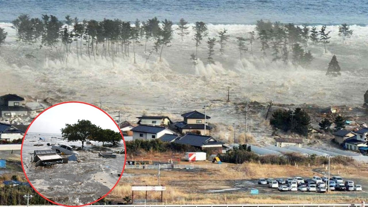 Dónde ver las fotos de Karen Michan tsunami 2004: muerte de Jacobo Hassan