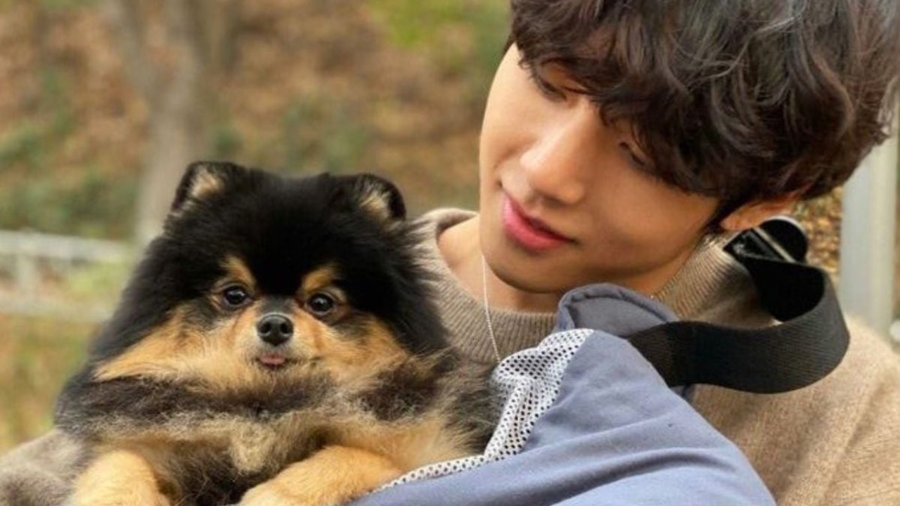 Yeontan la mascota de Taehyung de BTS: quién era y conoce su historia de amor incondicional