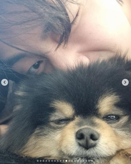 ¿Qué edad tenía Yeontan?, quién era y de qué murió la mascota de V ...