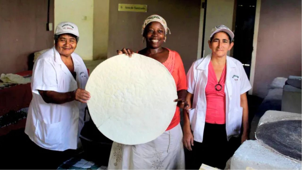 Casabe: el pan ancestral de yuca reconocido como Patrimonio Inmaterial ...