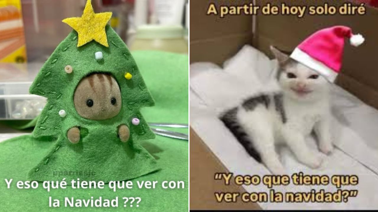 'Y eso qué tiene que ver con la Navidad': ¿Cuál es el origen del meme y ...