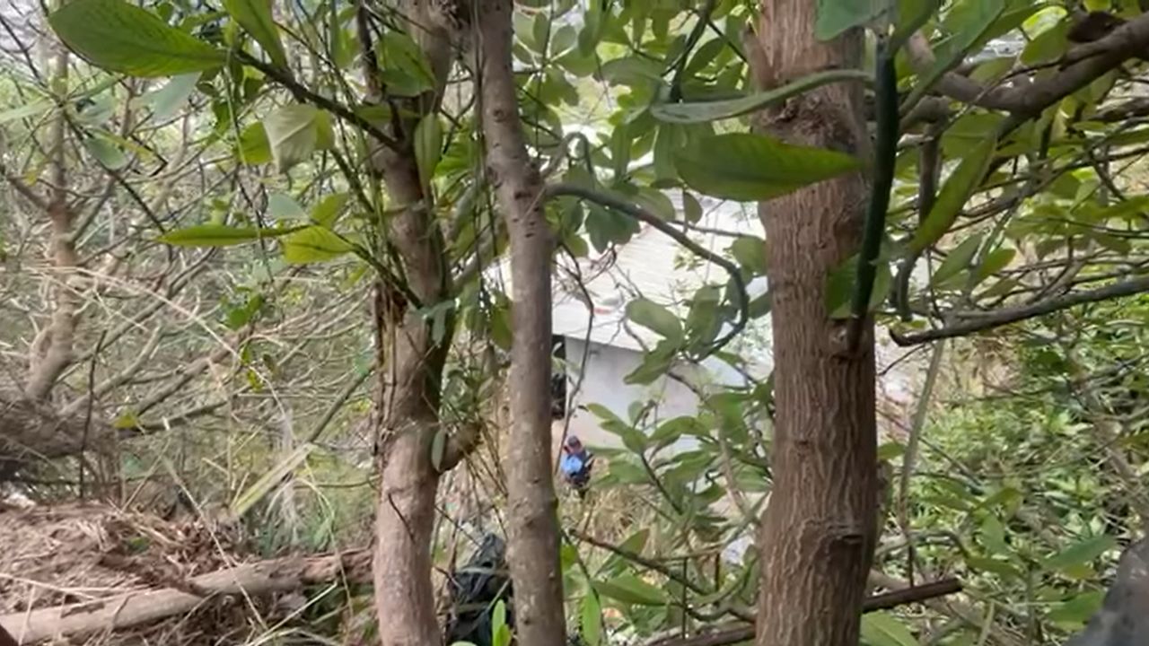 Horrendo crimen en Tegucigalpa: hallan cuerpo mutilado y calcinado