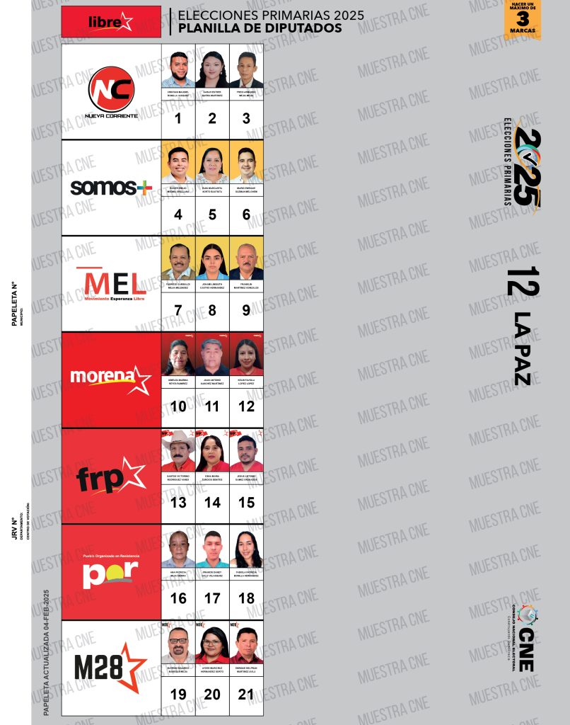 Ellos son los precandidatos a diputados en Yoro, Comayagua y La Paz
