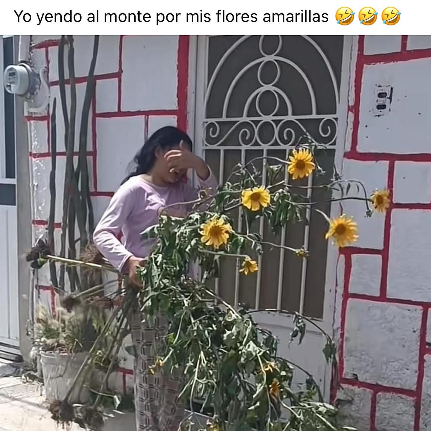 Flores amarillas memes: Las mejores imágenes humorísticas para este 21 ...