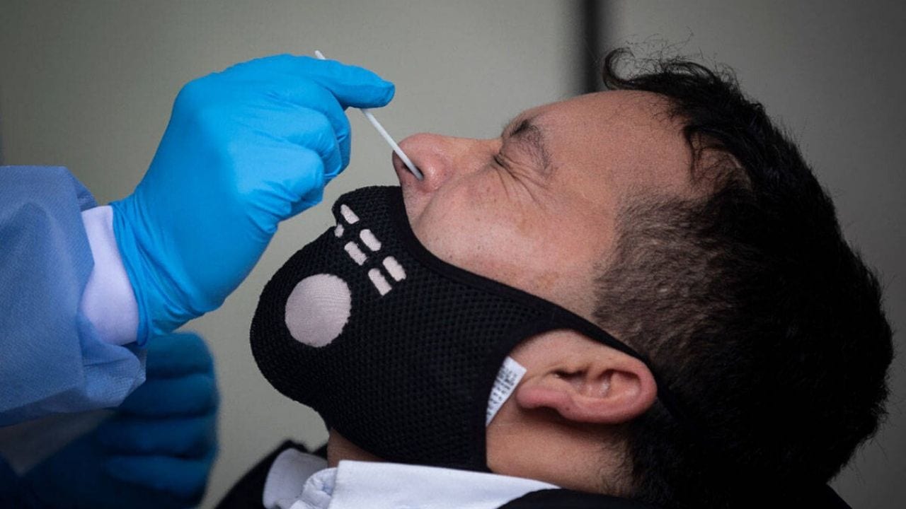 Hasta el fondo: así se realiza el hisopado para la detección del ...