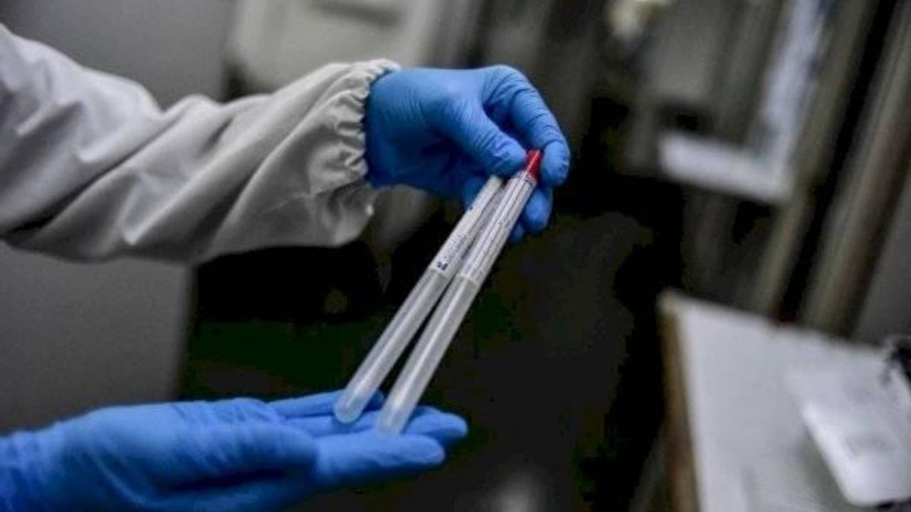 Nueva cepa del coronavirus es 10 veces más infecciosa que la actual ...