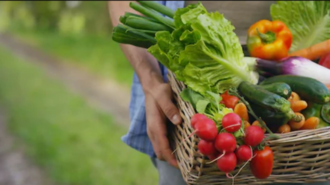 Los 5 vegetales que puedes cultivar en casa y no lo sabías