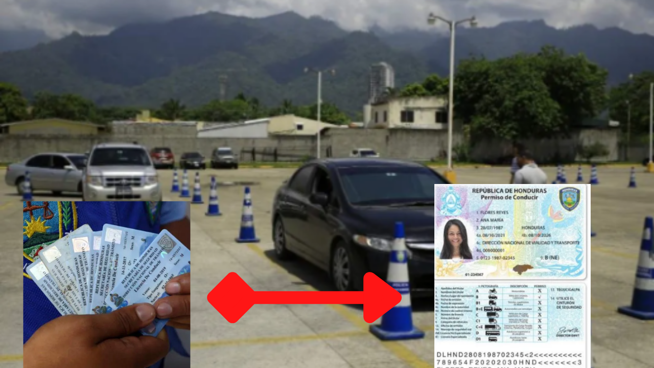 Así serán las nuevas licencias de conducir en Honduras a partir del ...