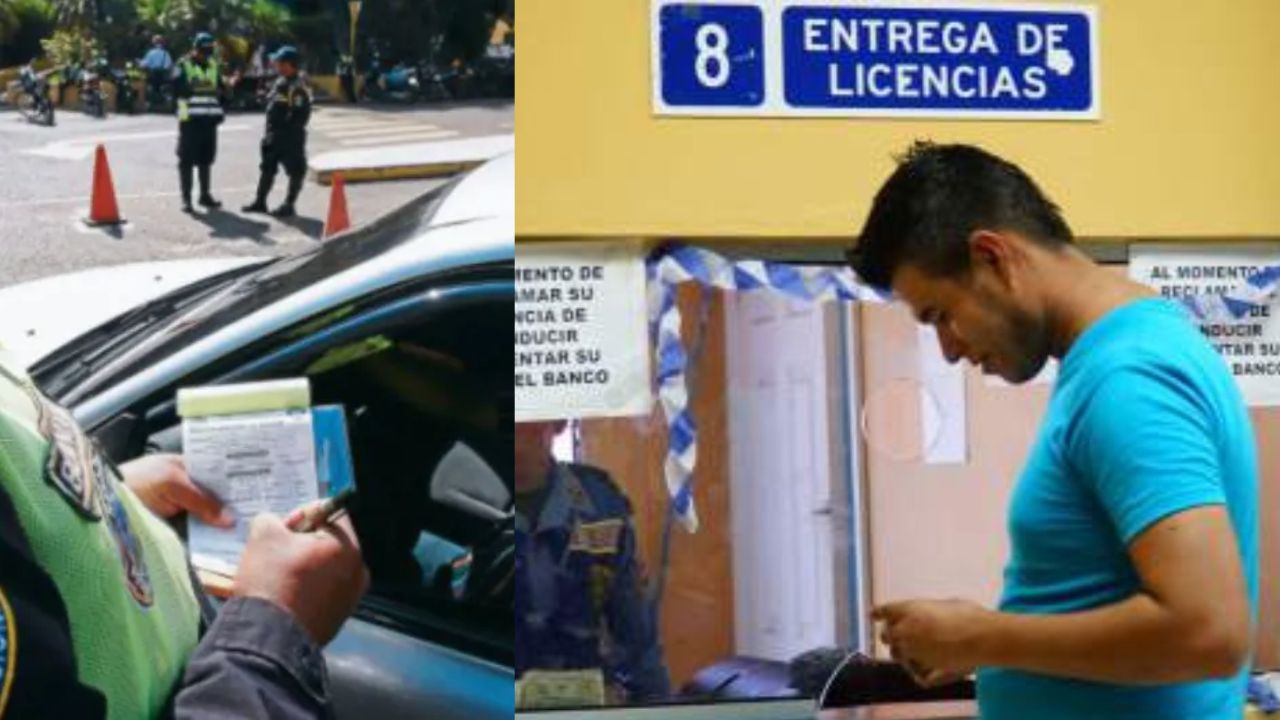 4 pasos para recuperar tu licencia de conducir tras recibir una ...