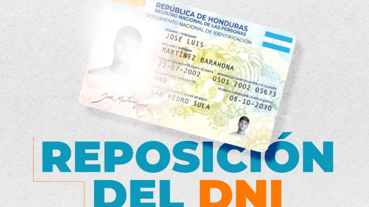 Pasos para reponer el DNI en solo tres días