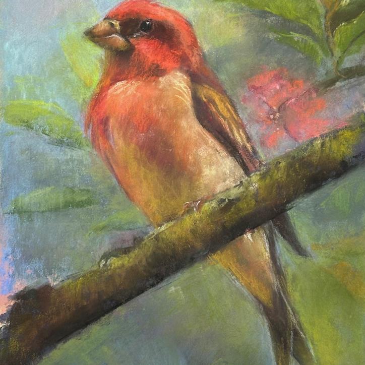 Pamela Hamilton Gallery of Original Fine Art