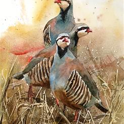 Andy Sewell Gallery of Original Fine Art