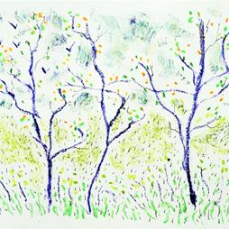 Barbara Jensen Gallery of Original Fine Art