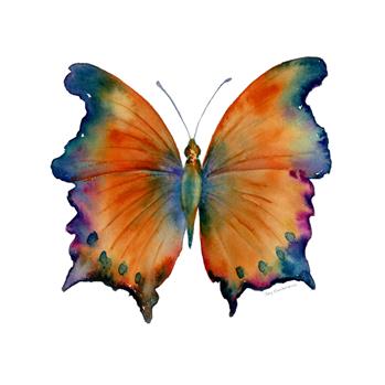 Amy Kirkpatrick Gallery of Original Fine Art