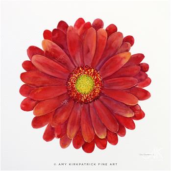 Amy Kirkpatrick Gallery of Original Fine Art