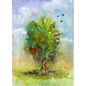 Amy Kirkpatrick Gallery of Original Fine Art