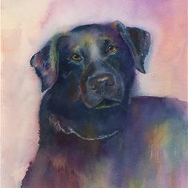 Amy Kirkpatrick Gallery of Original Fine Art