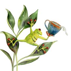 Amy Kirkpatrick Gallery of Original Fine Art
