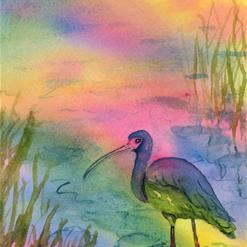 Amy Kirkpatrick Gallery of Original Fine Art