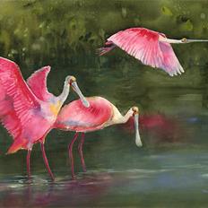 Amy Kirkpatrick Gallery of Original Fine Art