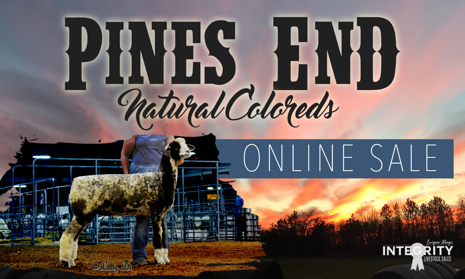 Pines End Natural Coloreds Online Sale 4/22/2024- Integrity Livestock ...