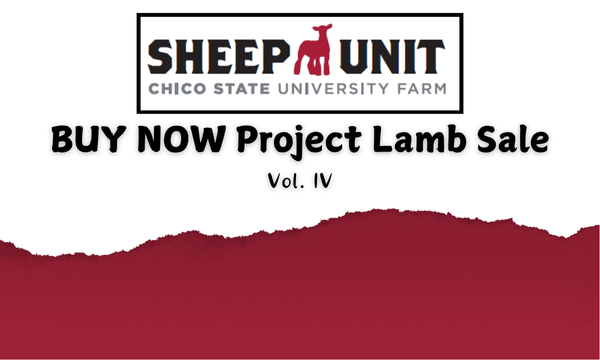 Chico State BUY NOW Project Lamb Sale Vol. IV- Integrity Livestock Sales, LLC