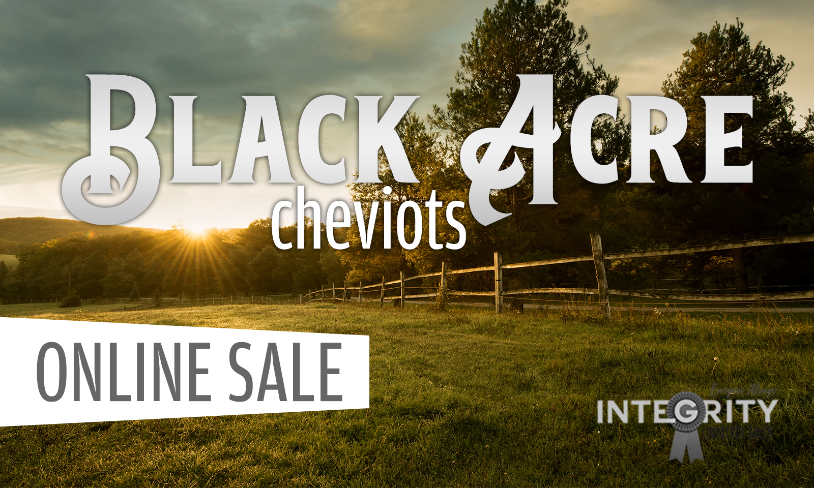 Black Acre Cheviots and Rincker Cheviots Online Sale 4/10/2025 ...