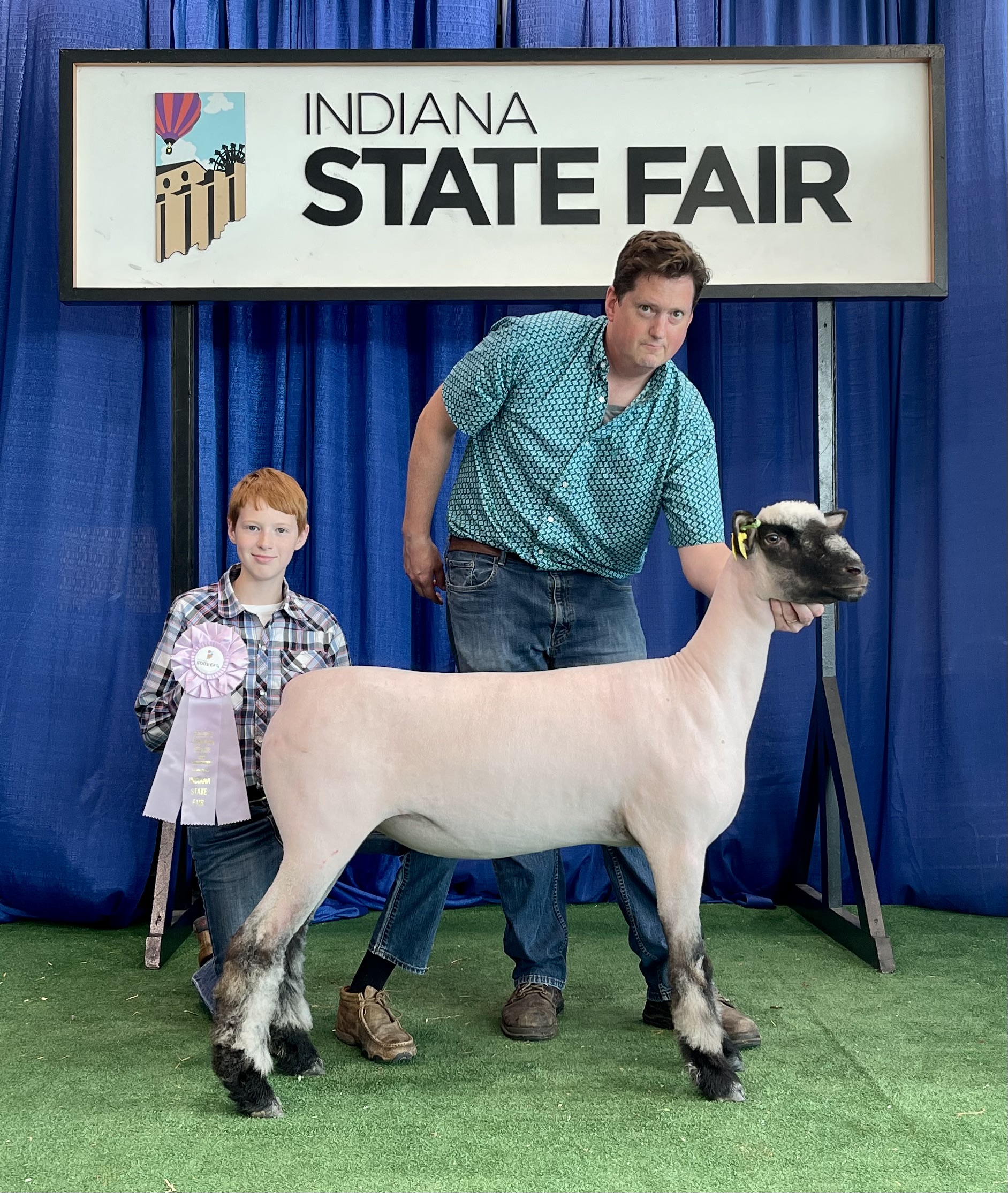Justin Rife Family Shropshires Brood Ewe Dispersal Sale- Integrity ...