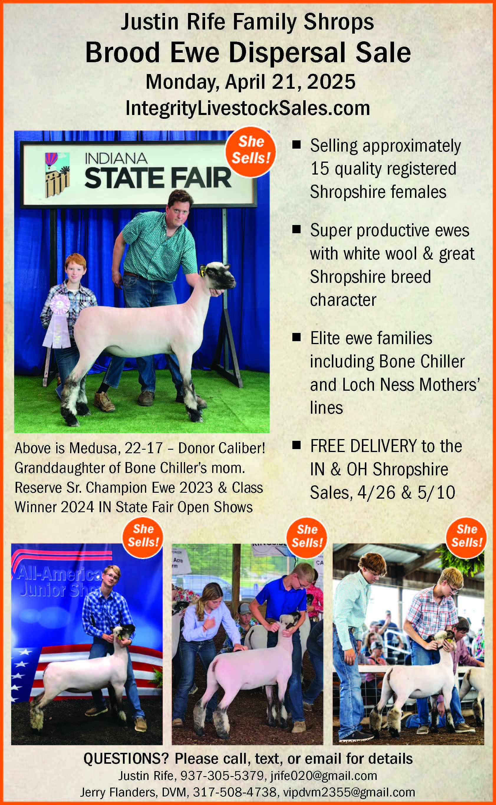 Justin Rife Family Shropshires Brood Ewe Dispersal Sale- Integrity ...